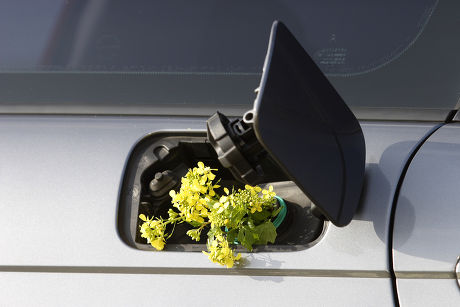 48 Filling up gas tanks Stock Pictures, Editorial Images and Stock ...