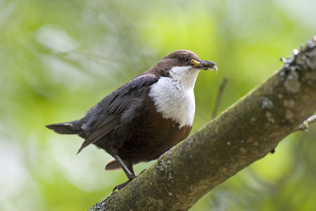 7 Nohn Stock Pictures, Editorial Images and Stock Photos | Shutterstock