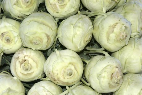 Kohlrabi Brassica Oleracea Convar Acephala Root Editorial Stock Photo ...