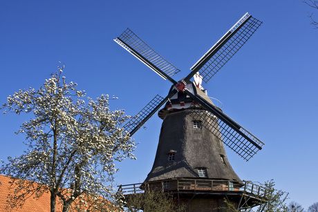 Historical Dutch Schlachtmuehle Windmill Wind Rose Editorial Stock ...