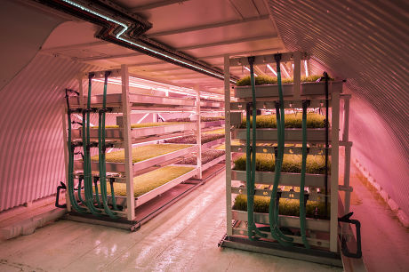 250 Bomb farm Stock Pictures, Editorial Images and Stock Photos ...