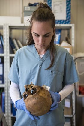 Osteologist Bojana Tomasevic Inspects Human Remains Editorial Stock ...