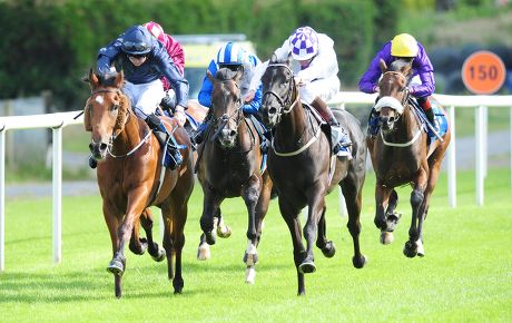 Horse Racing - 6 Jul 2015 Stock Pictures, Editorial Images and Stock ...