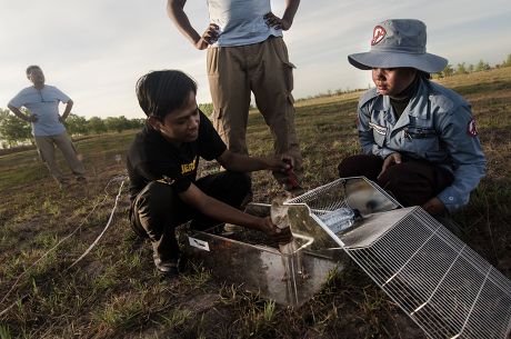 9 Mine detection team Stock Pictures, Editorial Images and Stock Photos ...