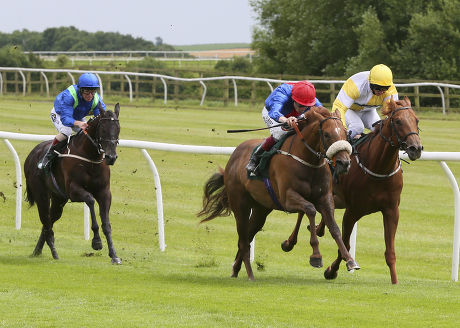 12 Horse Racing - 8 Jul 2015 Stock Pictures, Editorial Images and Stock ...