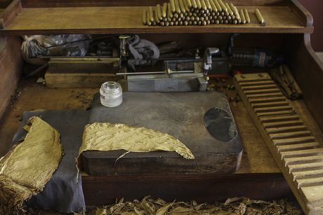 Process Hand Making Cigar Editorial Stock Photo - Stock Image ...