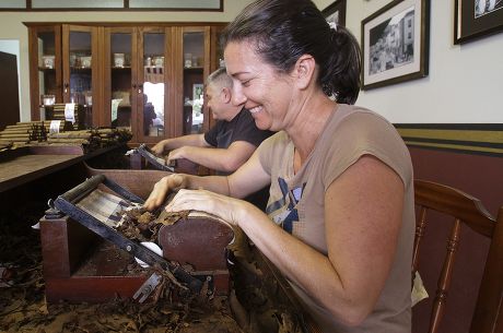 Process Hand Making Cigar Editorial Stock Photo - Stock Image ...