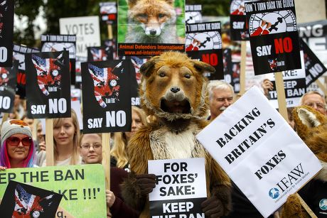 Animal Rights Campaigners Protesting Against Government Editorial Stock ...