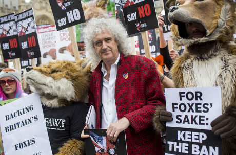 Fox hunting protest, London, Britain - 14 Jul 2015 Stock Pictures ...