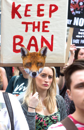 Fox hunting protest, London, Britain - 15 Jul 2015 Stock Pictures ...