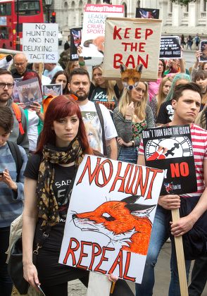 Fox hunting protest, London, Britain - 15 Jul 2015 Stock Pictures ...