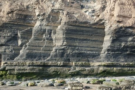 Fossil Bearing Sedimentary Rock Strata Forming Editorial Stock Photo ...