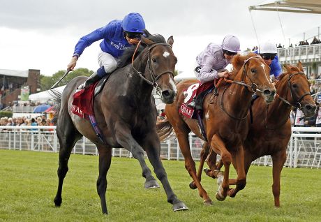 Toormore Left James Doyle Beats Dutch Editorial Stock Photo - Stock ...