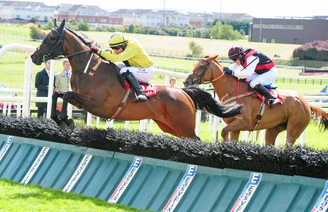 Galway Lilly Lioness Mark Enright Jump Editorial Stock Photo - Stock ...