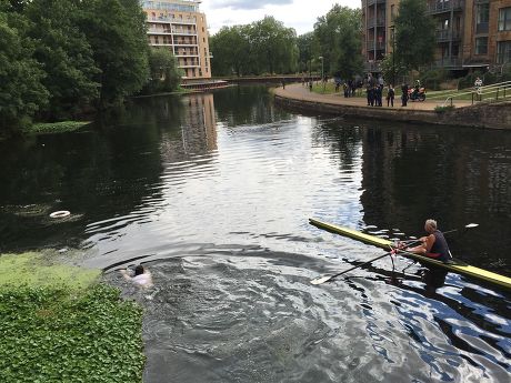 17 Drowing Stock Pictures, Editorial Images and Stock Photos | Shutterstock