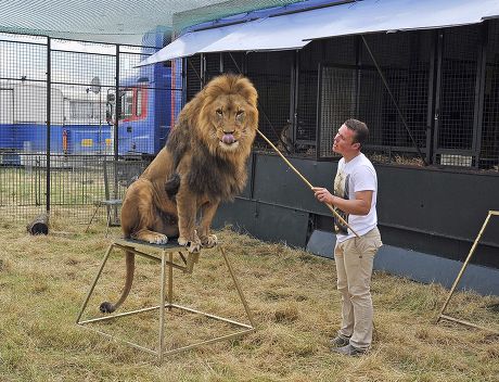 300614 Big Cat Trainer Thomas Chipperfield Editorial Stock Photo ...