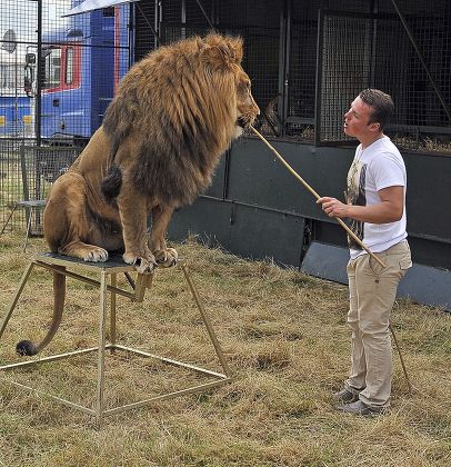 300614 Big Cat Trainer Thomas Chipperfield Editorial Stock Photo ...