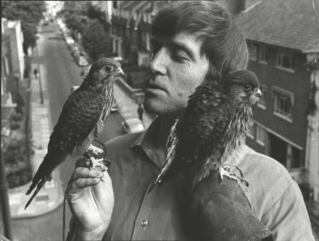 14 Bobby birds Stock Pictures, Editorial Images and Stock Photos ...
