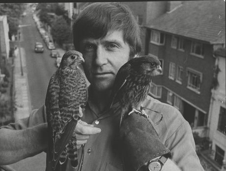 14 Bobby birds Stock Pictures, Editorial Images and Stock Photos ...