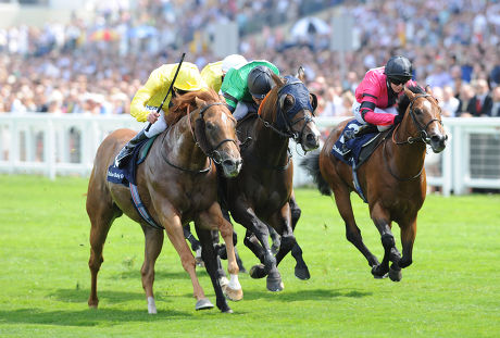 __COUNT__ Horse Racing - 8 Aug 2015 Stock Pictures, Editorial Images ...