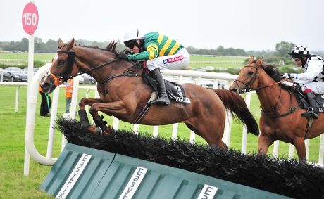 __COUNT__ Horse Racing - 8 Aug 2015 Stock Pictures, Editorial Images ...
