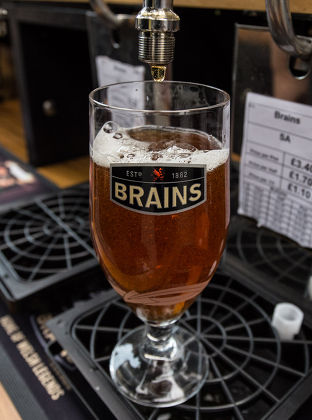 Glass Brains Beer Filling Editorial Stock Photo - Stock Image ...