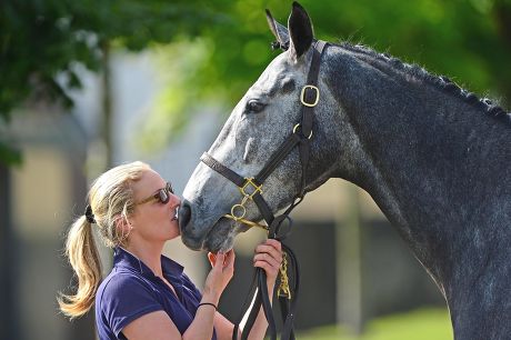 Tattersalls Salesfairyhousecomeath Anna Sarah Deegan Gives Editorial ...