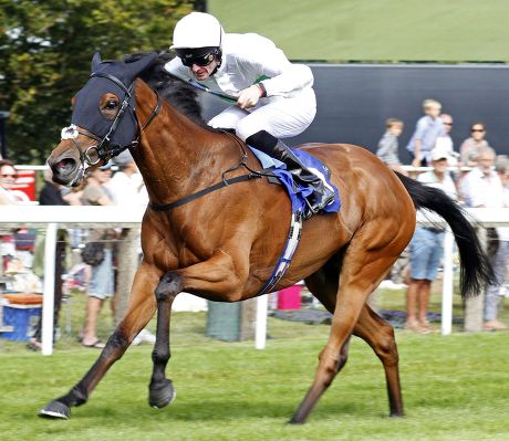 Journey Robert Havlin Wins British Stallion Editorial Stock Photo ...