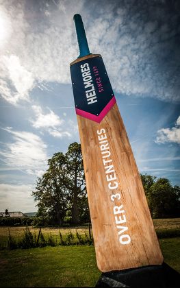 9 imágenes de Cricket club turn condemned tree into giant cricket bat ...