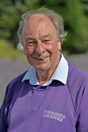 Features Nigel Goodwill Owner Yorkshire Lavender Editorial Stock Photo ...