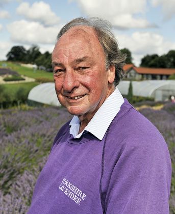 Features Nigel Goodwill Owner Yorkshire Lavender Editorial Stock Photo ...