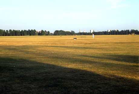 Hackney Marshes London Britain Editorial Stock Photo - Stock Image ...