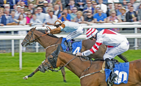 L Caspian Prince Robert Winston Wins Editorial Stock Photo - Stock ...
