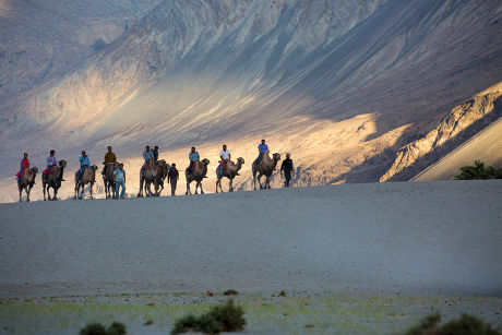 Visitors Ride On Doublehumped Bactrian Camels Editorial Stock Photo ...