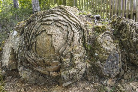 Stone Rose Natural Monument Picrite Basalt Editorial Stock Photo ...