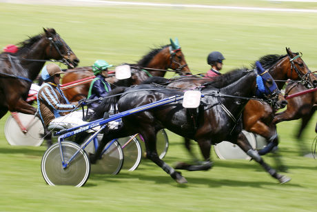 250 Horse harness racing Stock Pictures, Editorial Images and Stock ...
