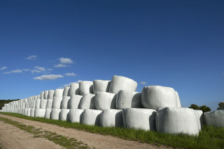 Wrapped Silage Bales Forage Winter Stacked Editorial Stock Photo ...