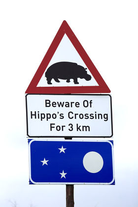 Warning Sign Hippos Crosssing Saint Lucia Editorial Stock Photo - Stock ...