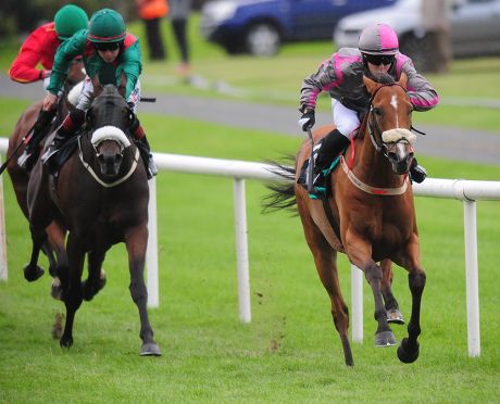 York Trainer David Elsworth Editorial Stock Photo - Stock Image ...