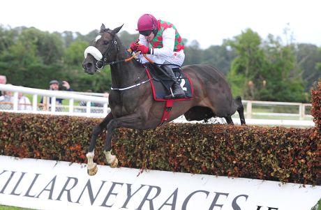 York Trainer David Elsworth Editorial Stock Photo - Stock Image ...