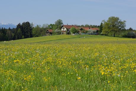 Farmhouse Spring Meadows Sonnenhofen Konigsdorf Upper Editorial Stock ...