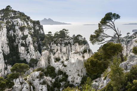 250 Calanque Stock Pictures, Editorial Images and Stock Photos ...