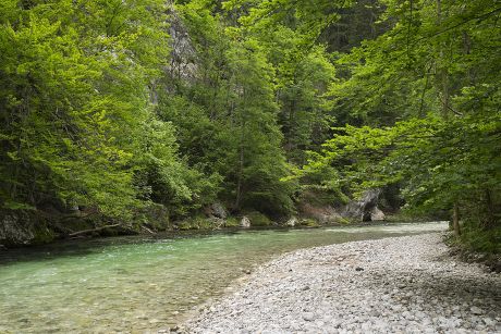 River Schwarza Hollental Valley Reichenau Der Editorial Stock Photo ...