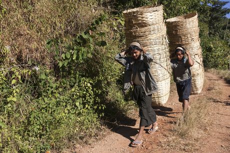 41 Man carry baskets Stock Pictures, Editorial Images and Stock Photos ...