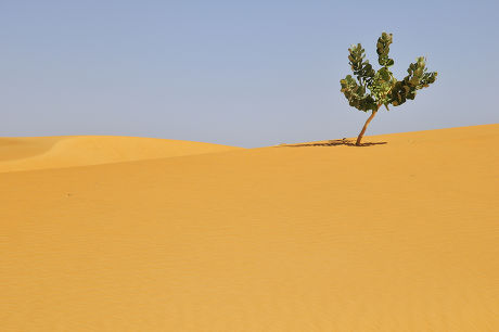 70 Siltation Stock Pictures, Editorial Images and Stock Photos ...