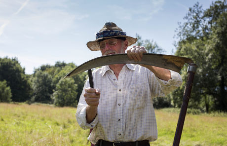 Volunteers Cutting Hay Using Scythes Editorial Stock Photo - Stock ...