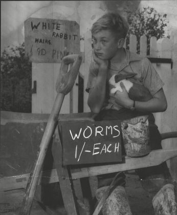 Malcolm Roe 12 Sitting Outside His Editorial Stock Photo - Stock Image ...
