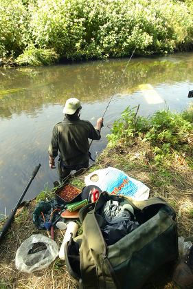 Trout Fishing On River Wandle London Editorial Stock Photo - Stock ...