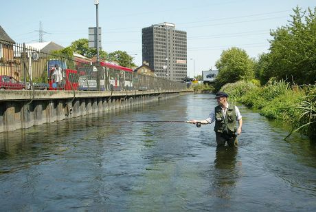 Trout Fishing On River Wandle London Editorial Stock Photo - Stock ...