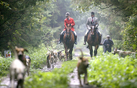 FOX HUNTING - THE BURTON HUNT, GLENWORTH, LINCOLNSHIRE, BRITAIN - 13 ...